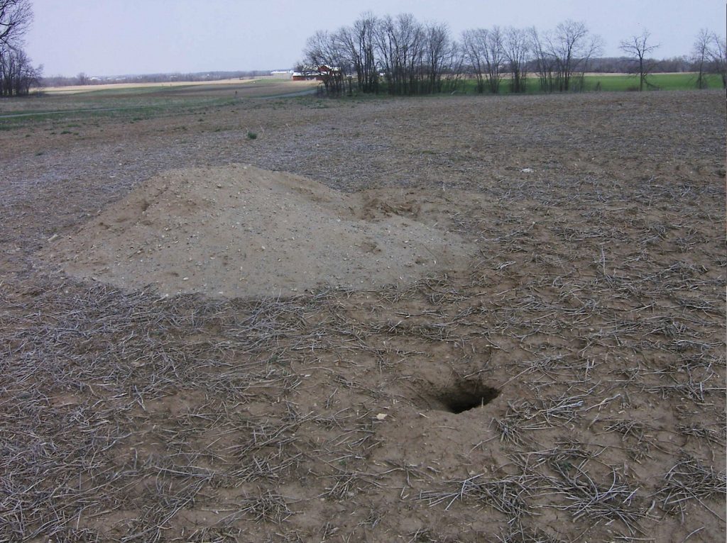 Badger Burrow | Wildlife Illinois