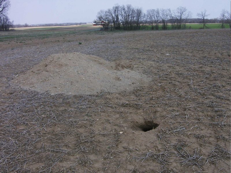Badger Burrow | Wildlife Illinois