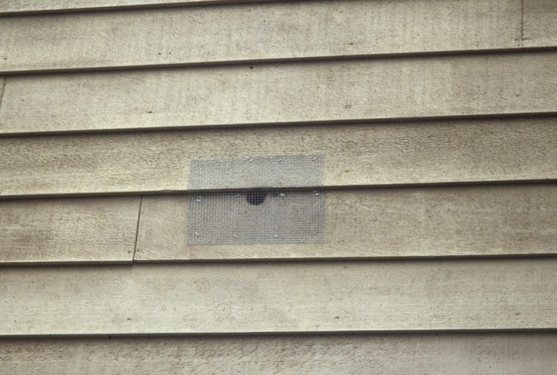 Wooden Siding Damage | Wildlife Illinois