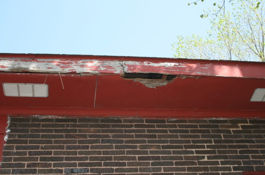 Soffit Damage | Wildlife Illinois