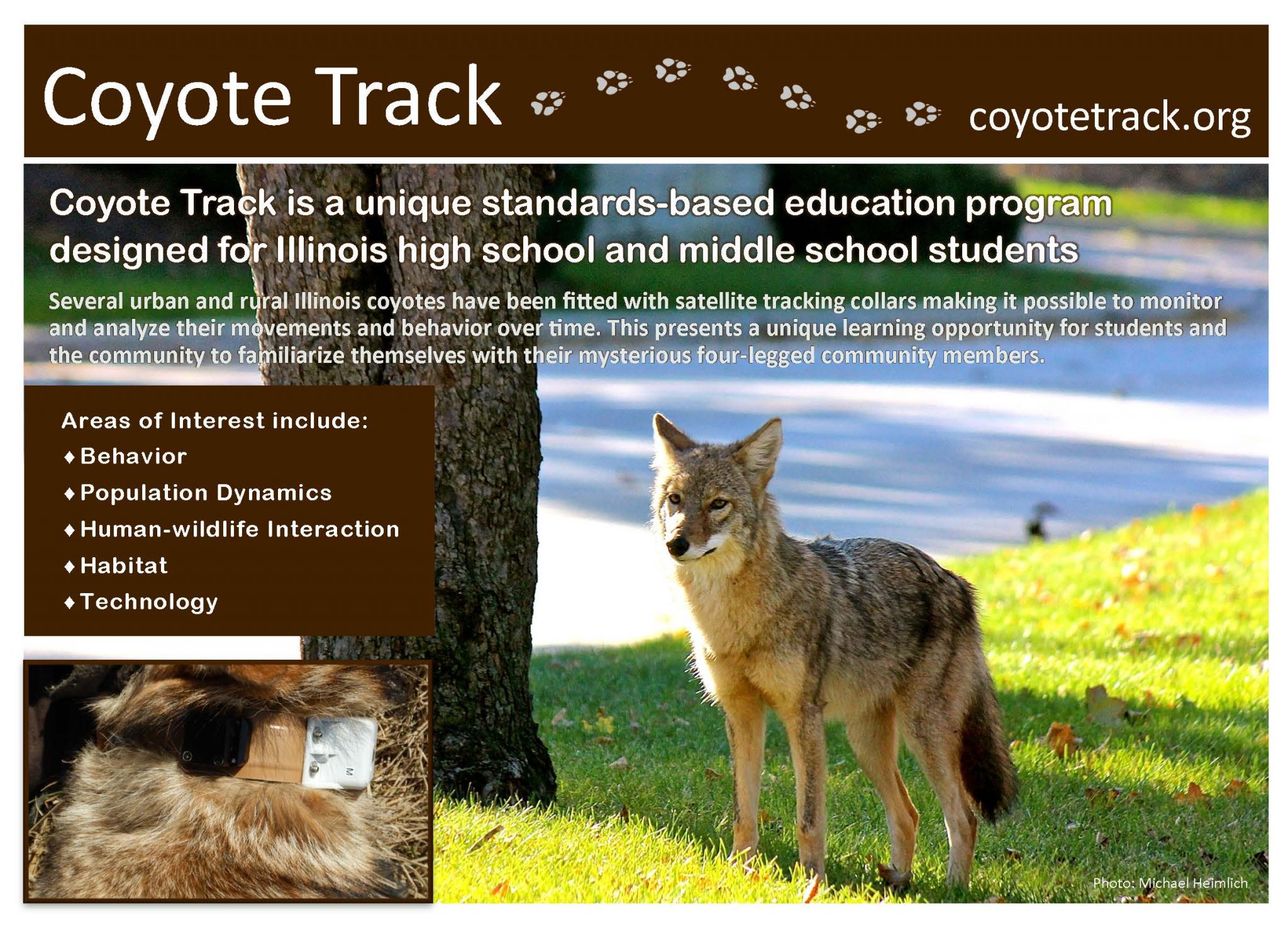 Coyotes in the Classroom | Wildlife Illinois