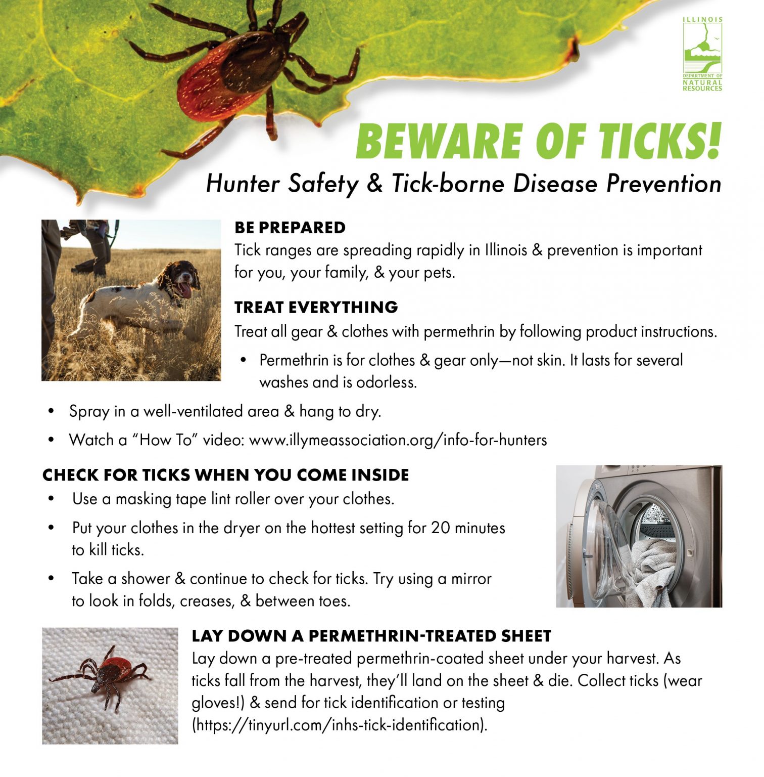 Ticks, Mosquitoes, Bees, and Wasps | Wildlife Illinois