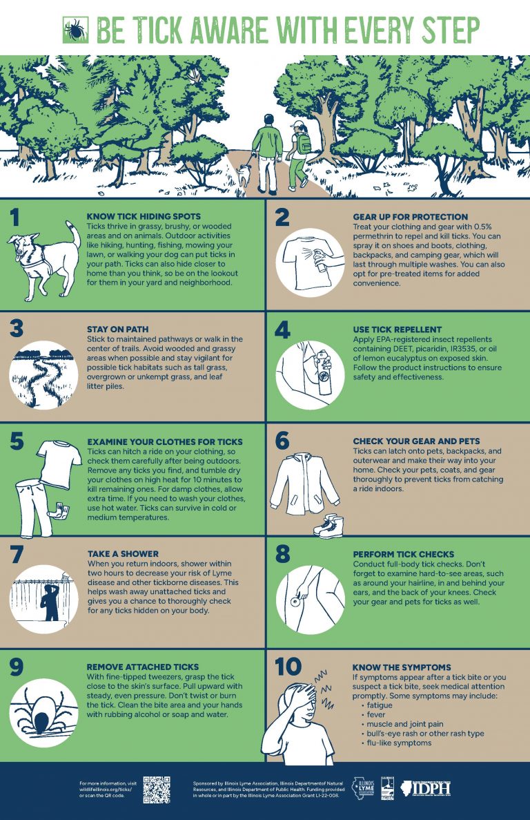 Ticks, Mosquitoes, Bees, and Wasps | Wildlife Illinois